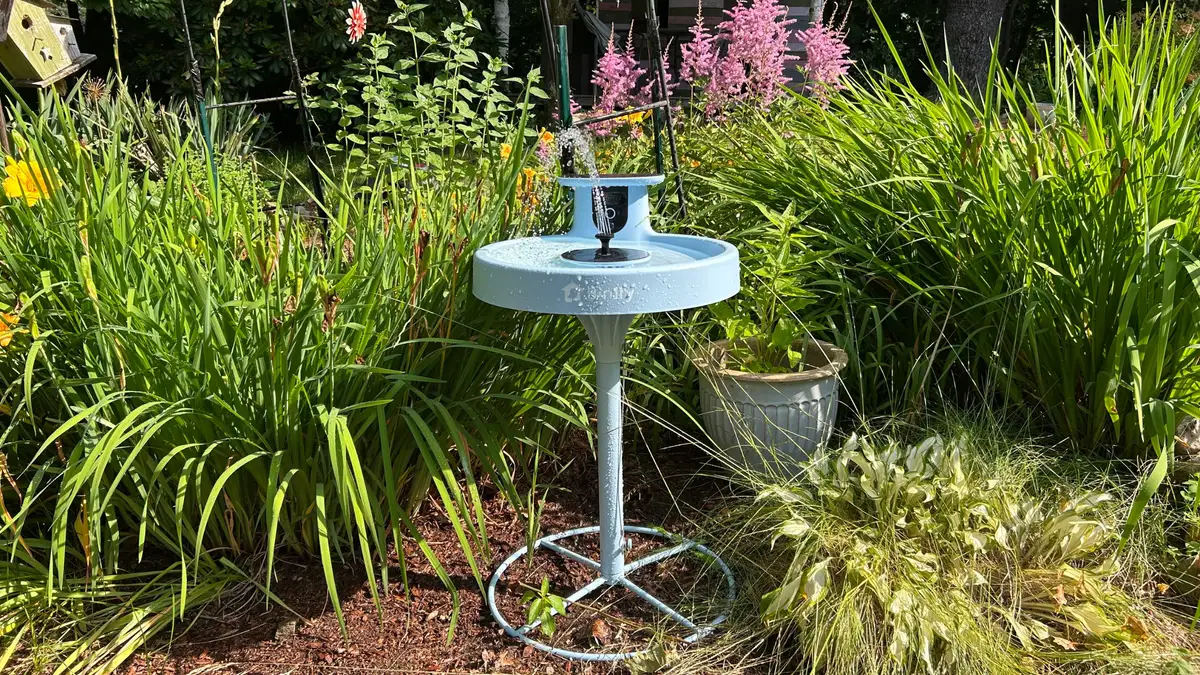 Birdfy Bath Pro Smart Bird Bath with Camera Review - Reviewed