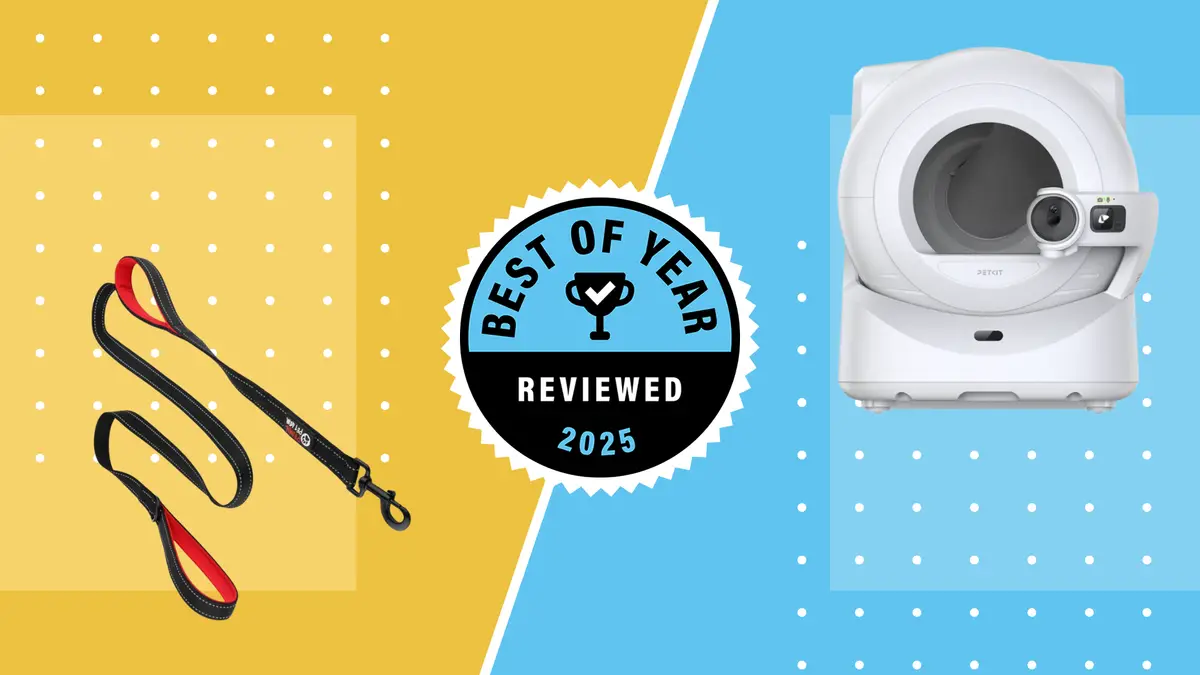 2025 Best of Year awards: Pet Products, smart doggy doors, auto feeders ...