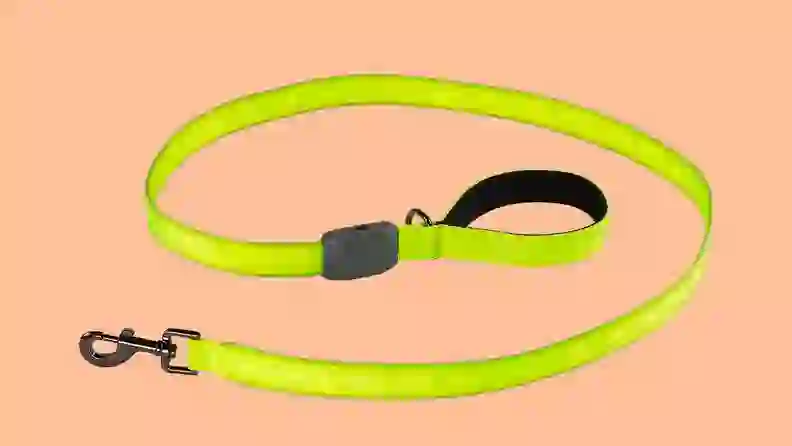 Smart tech: Pet products to make your life easier - Reviewed