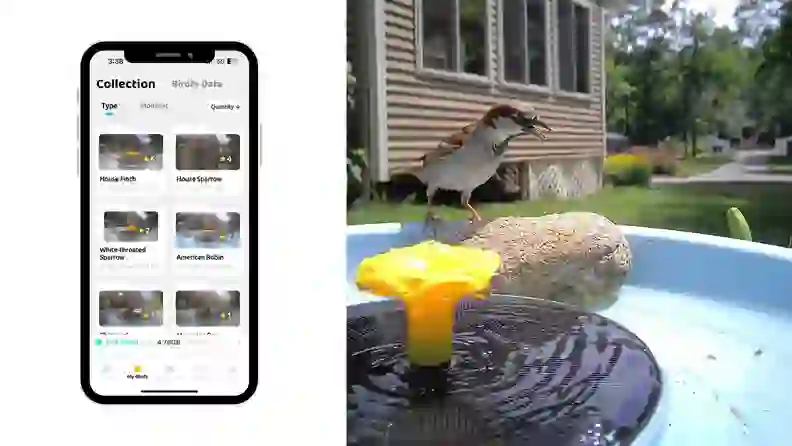 Birdfy Bath Pro Smart Bird Bath with Camera Review - Reviewed