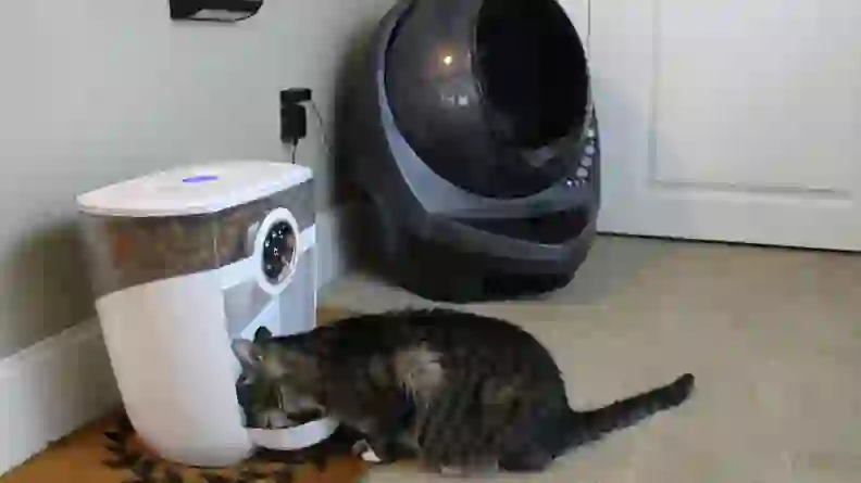 Feeder-Robot review: This smart pet feeder is high-tech and versatile ...