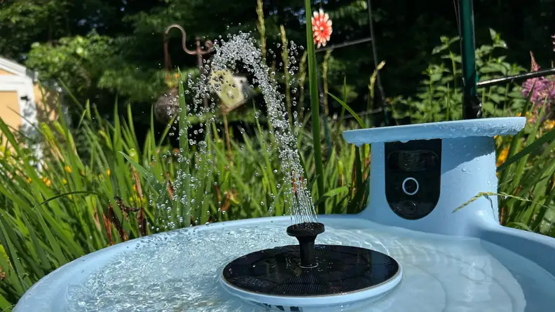 Birdfy Bath Pro Smart Bird Bath with Camera Review - Reviewed