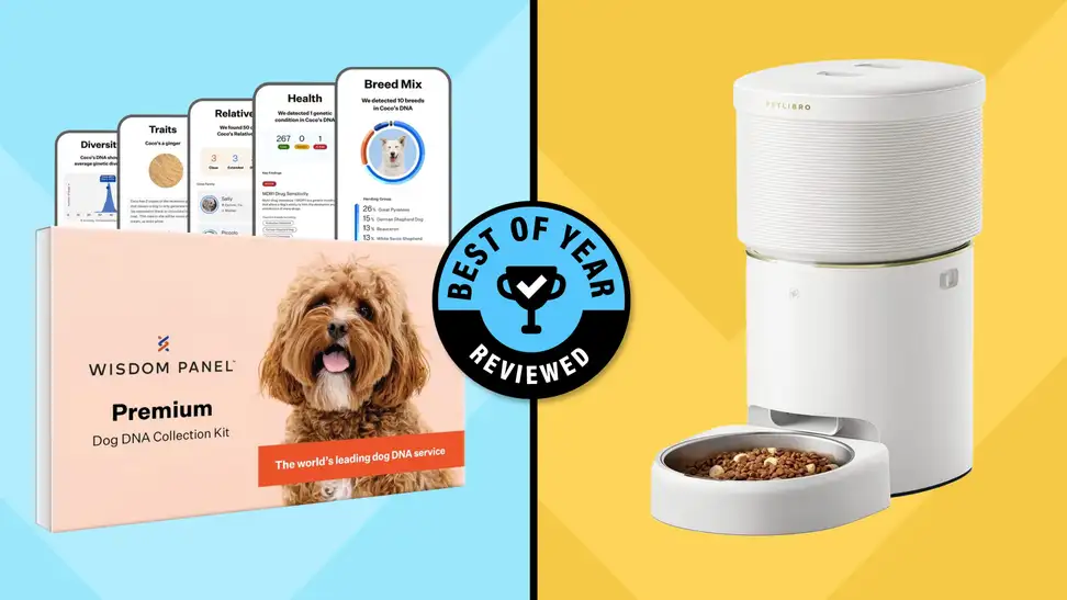 Reviewed 2024 Best of Year: Pets - Reviewed